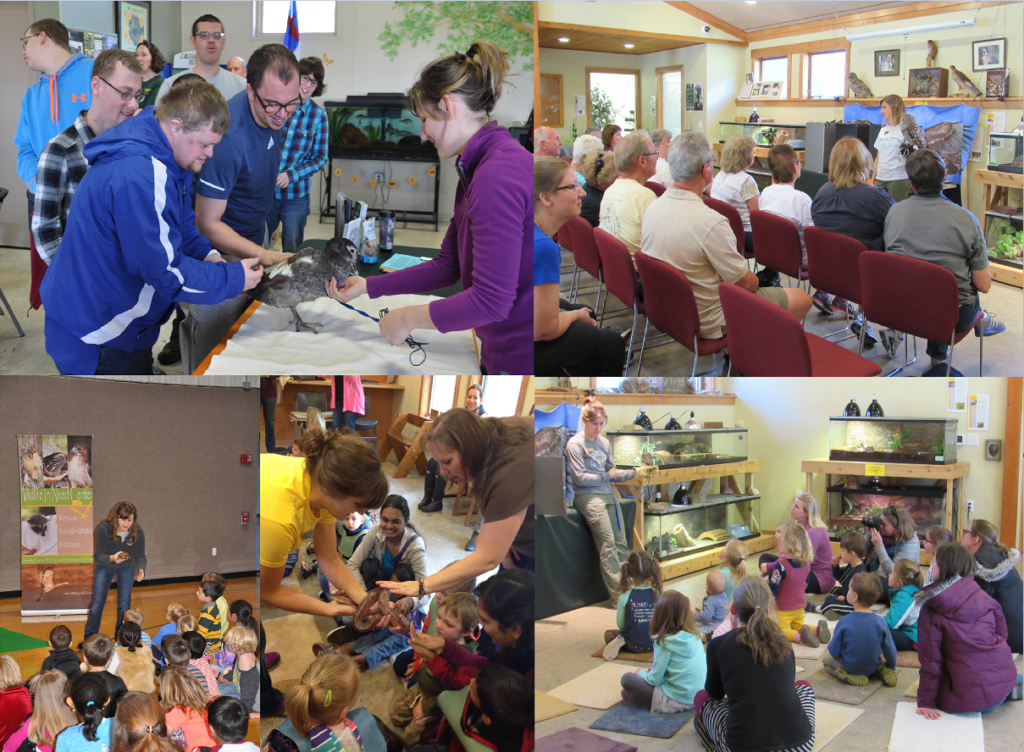 1 - Wildlife In Need Center