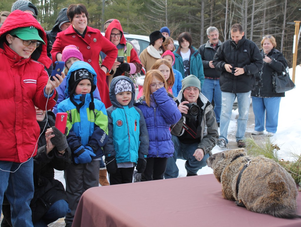 Groundhog Day Celebration - Wildlife In Need Center