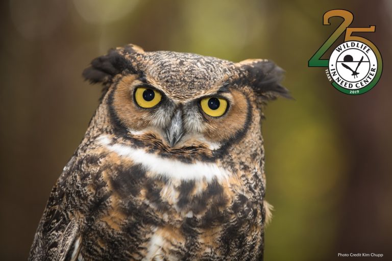 25th Anniversary Annual Banquet - Wildlife In Need Center