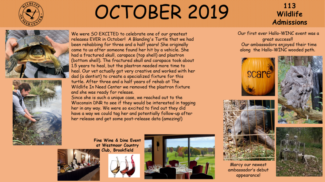 October - Wildlife In Need Center