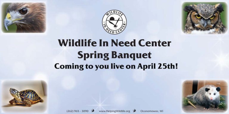 WINC Annual Banquet - Wildlife In Need Center