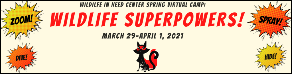 Picture1 - Wildlife In Need Center