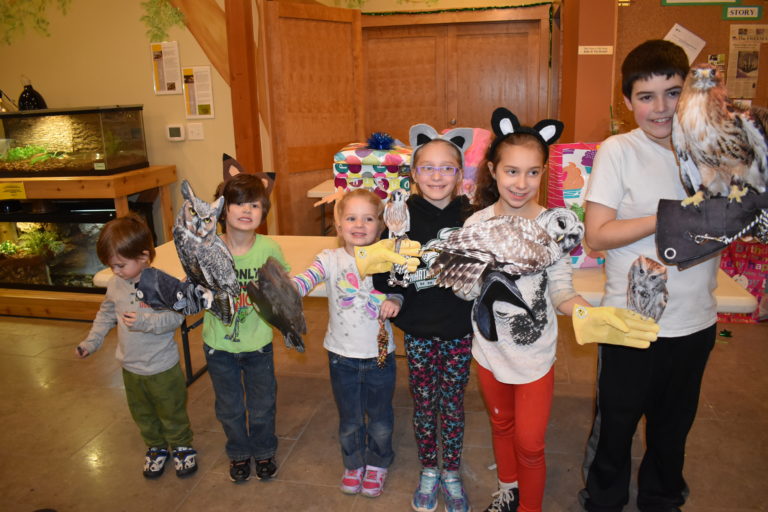 What We Do - Wildlife In Need Center