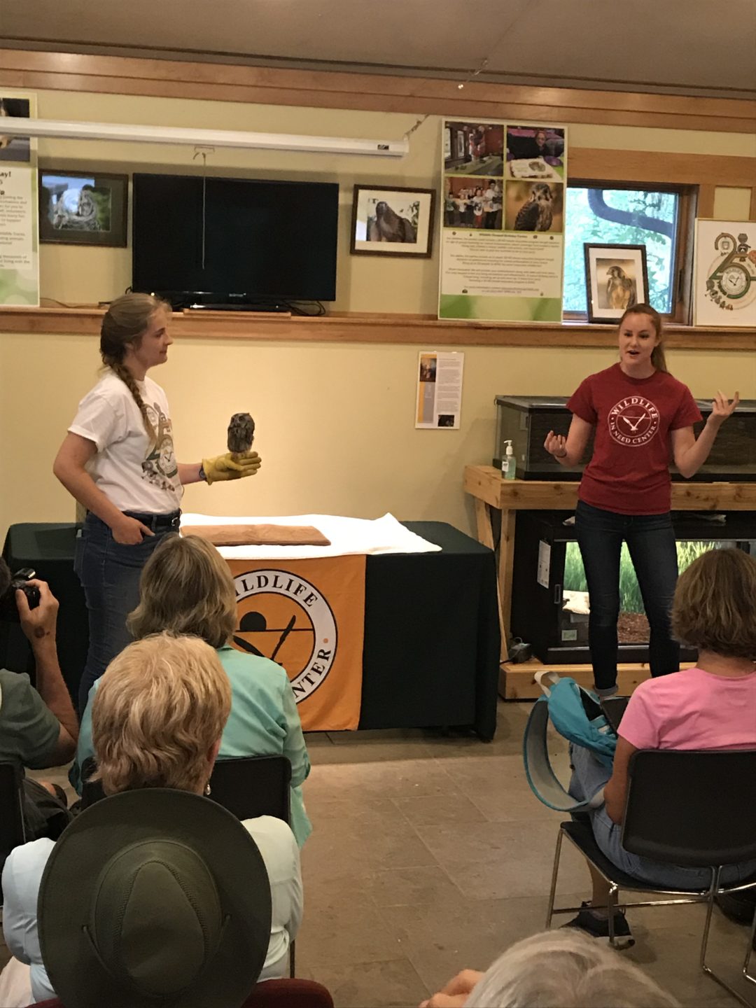 Internship Opportunities - Wildlife In Need Center