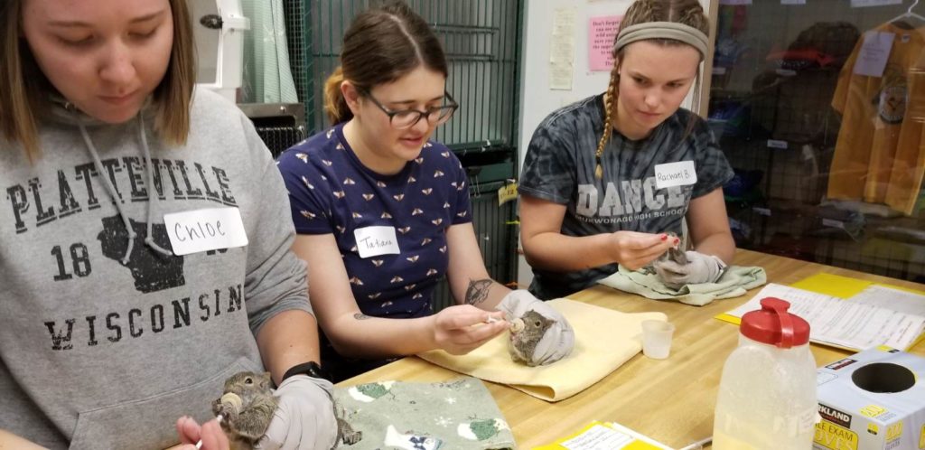 Become a Volunteer - Wildlife In Need Center