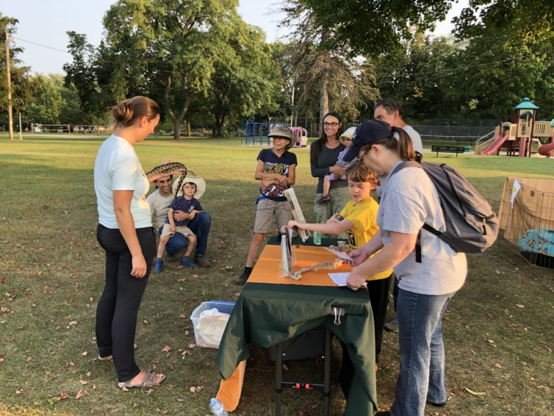 Wildlife In The Park - Wildlife In Need Center