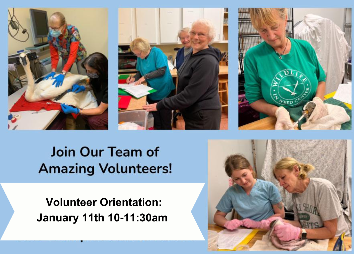 Wildlife In Need Center | Oconomowoc, WI