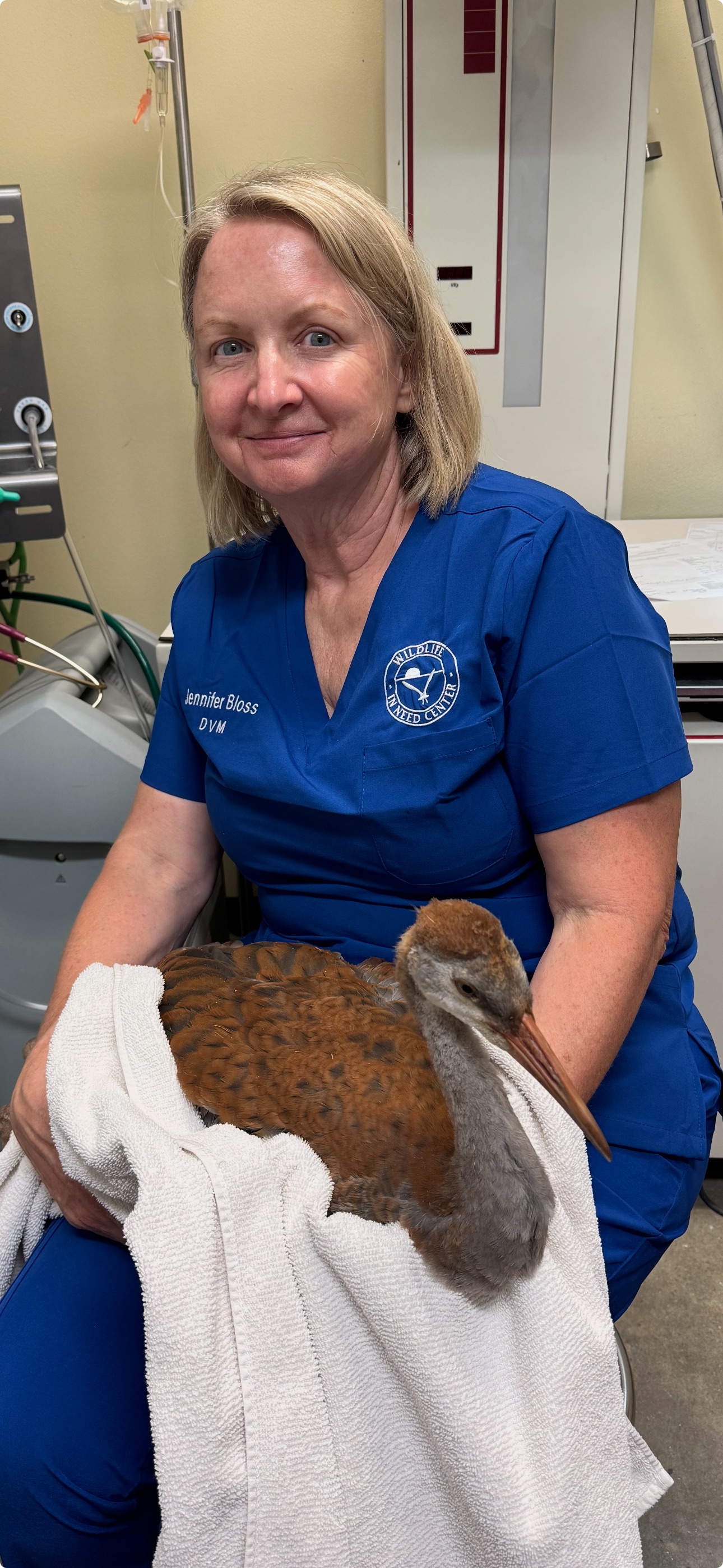 View recent photos - Wildlife In Need Center